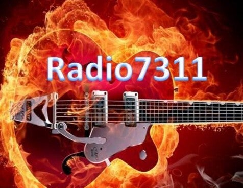 Radio 7311