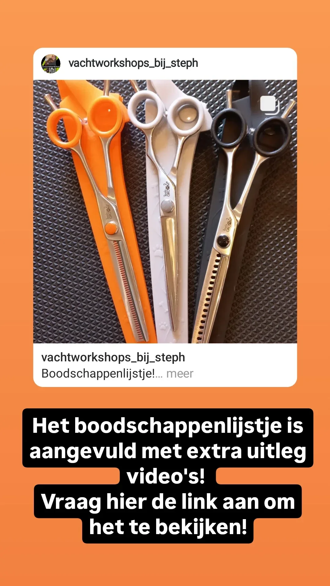 Zelf je Doodle trimmen? Wat heb je nodig? / Vachtworkshop blog / Blogs ...