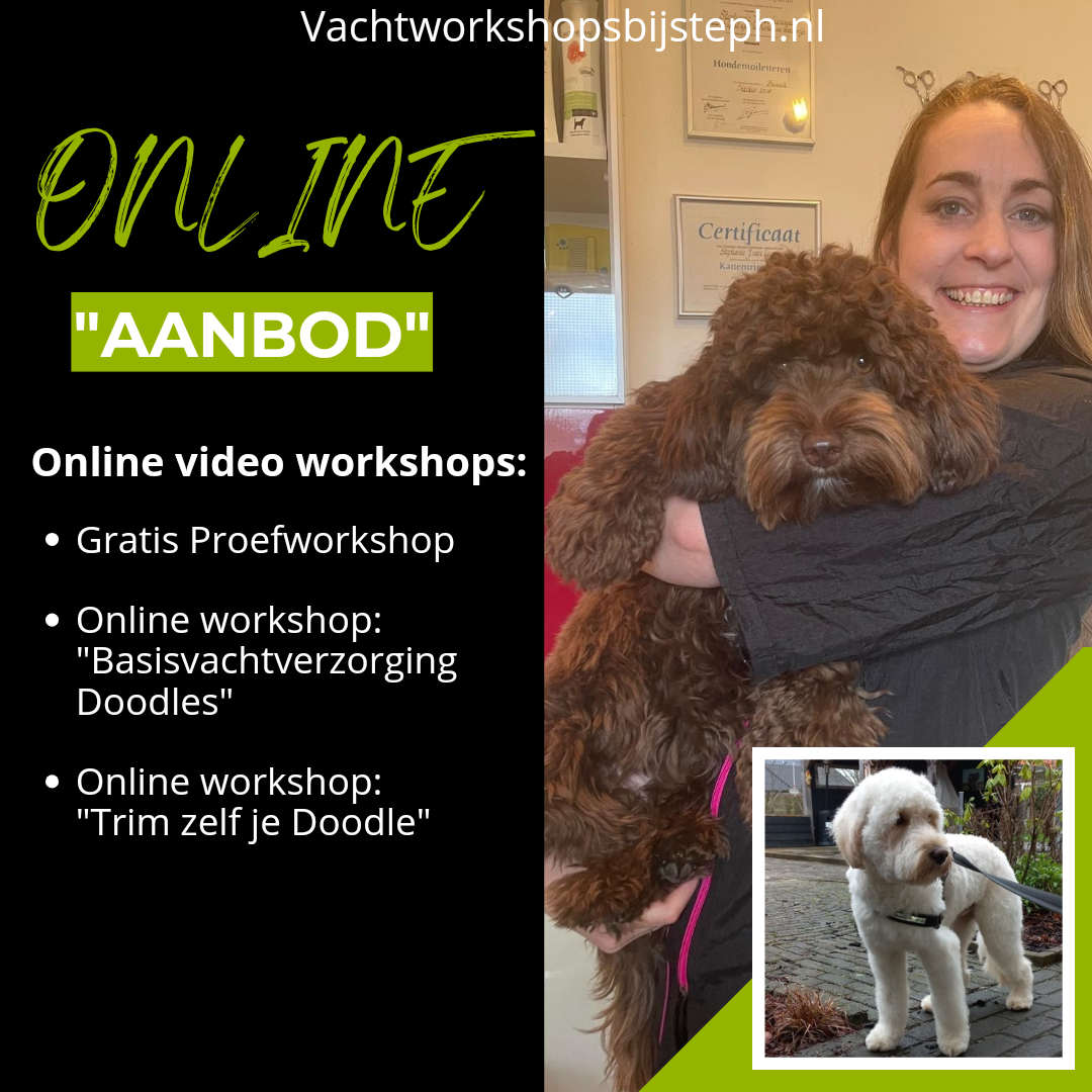Leer zelf je Doodle trimmen met de online cursus workshop Trim zelf je ...
