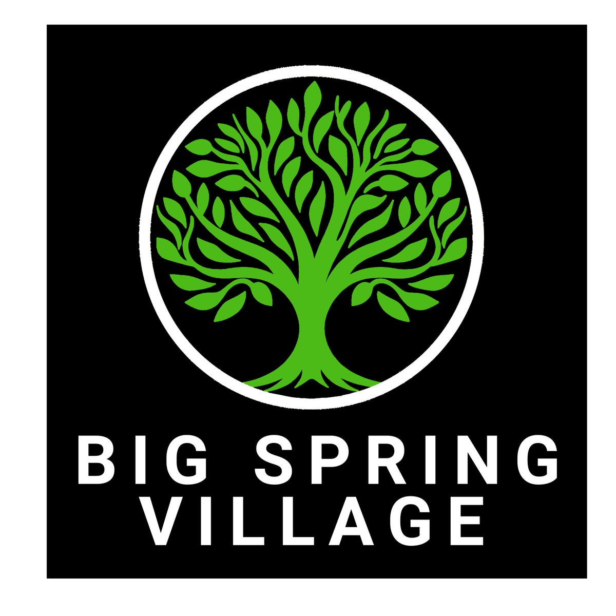 Neighborhood | Big Spring Village
