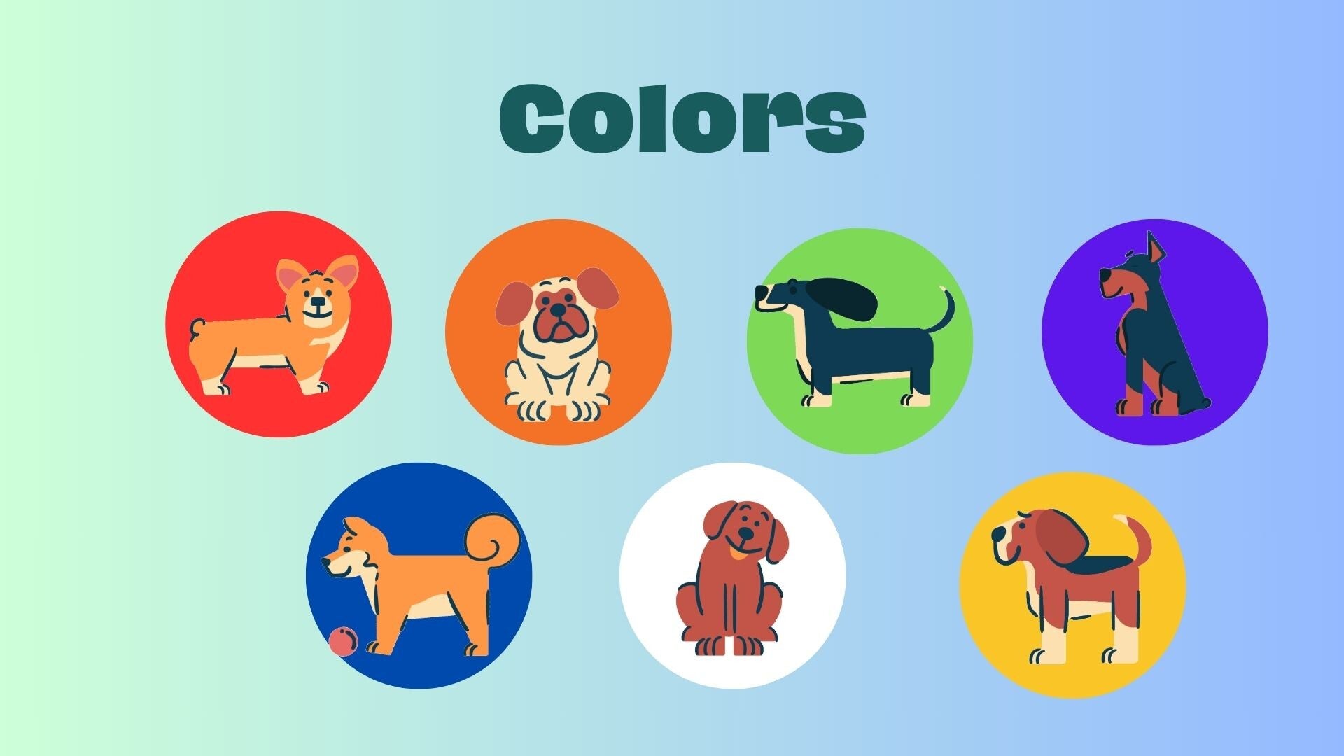 The Meaning Behind Colour-Coded Dog Leashes and Collars / Library | Paw ...