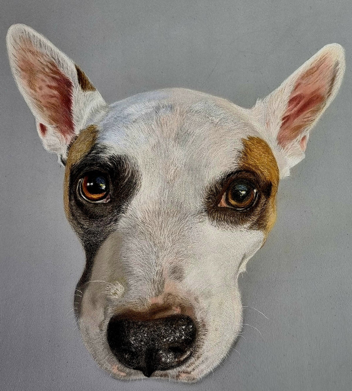 Portfolio | Hazel Johnson Artist