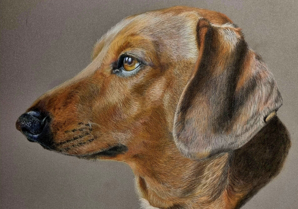 Hazel Johnson Artist