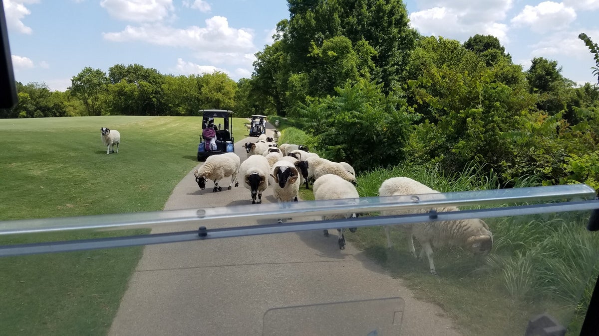 Jeske-PGA-Contest