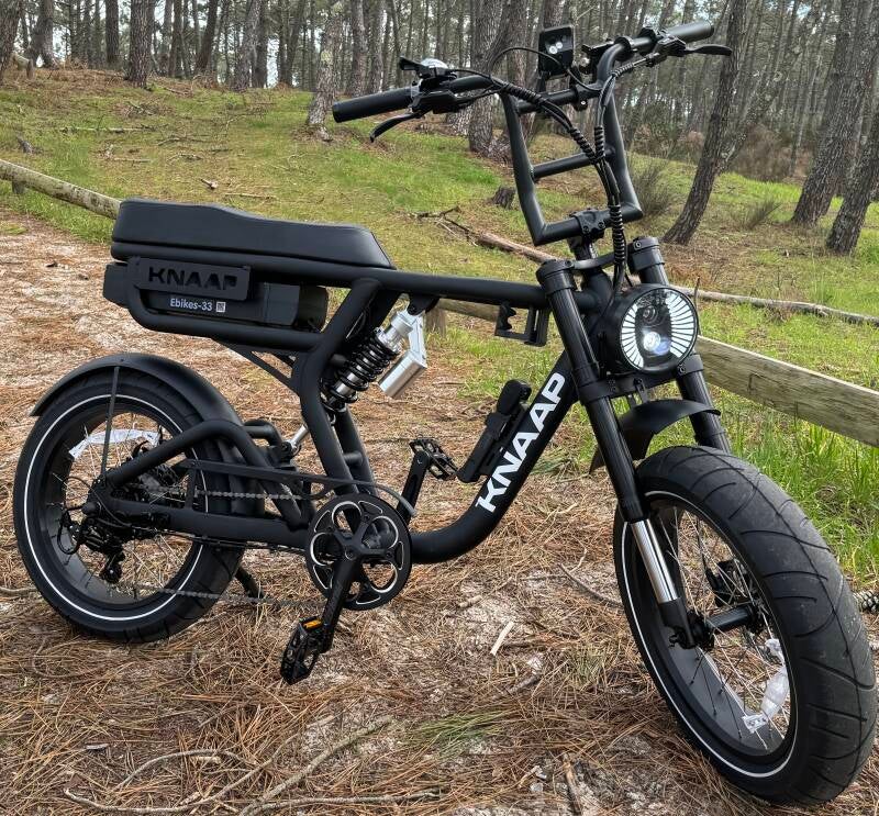 Vélo Fat Bike électrique - Ebike cargo - VAE Beach Cruiser