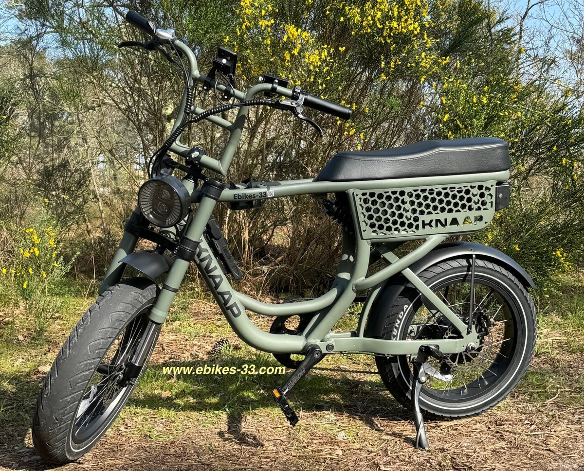 Fatbike électrique biplace KNAAP BCN