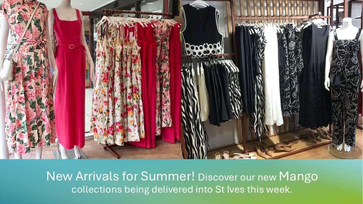 New Summer Mango at St Ives! | CJ Townrow Ltd