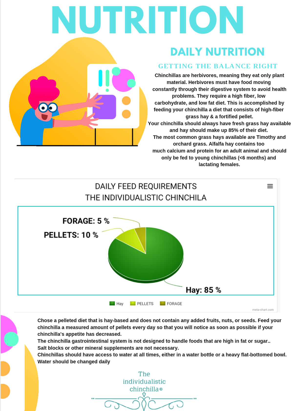 INFO POSTERS | The Individualistic Chinchilla