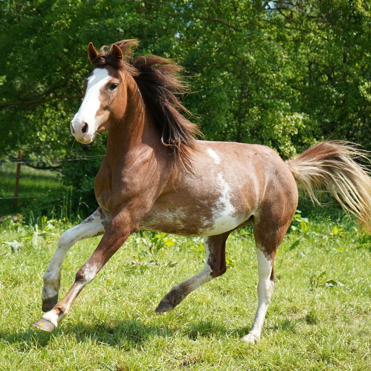 Abstraktion / Logo Design / BG 8 | MedienundInformatik.online