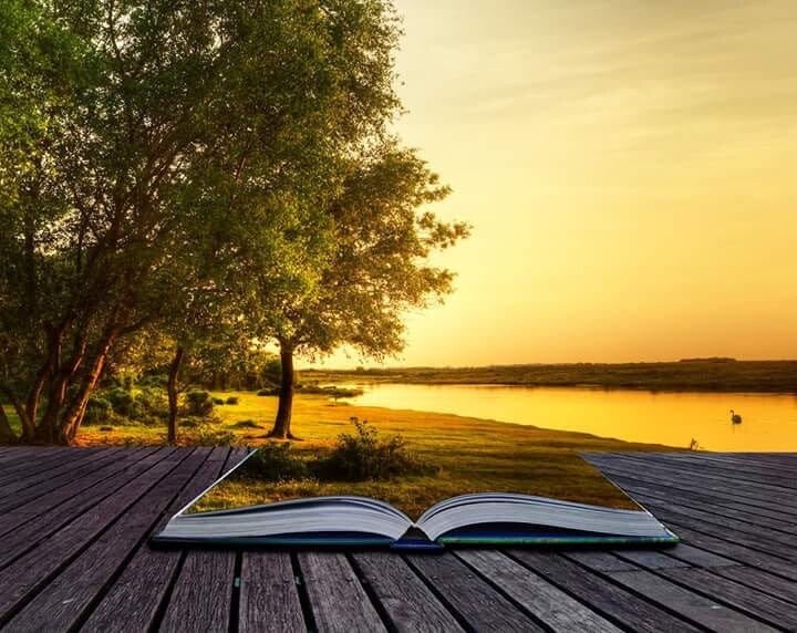 About | Pixie Science