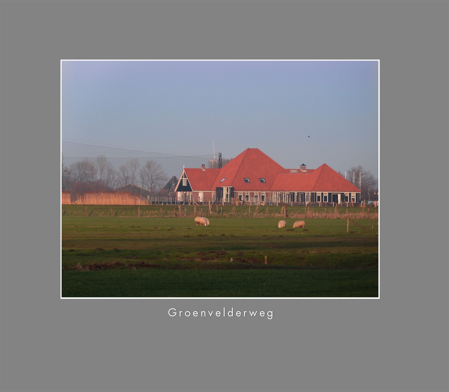 Bebouwing Groenveld / Foto's en video's | Groenveld