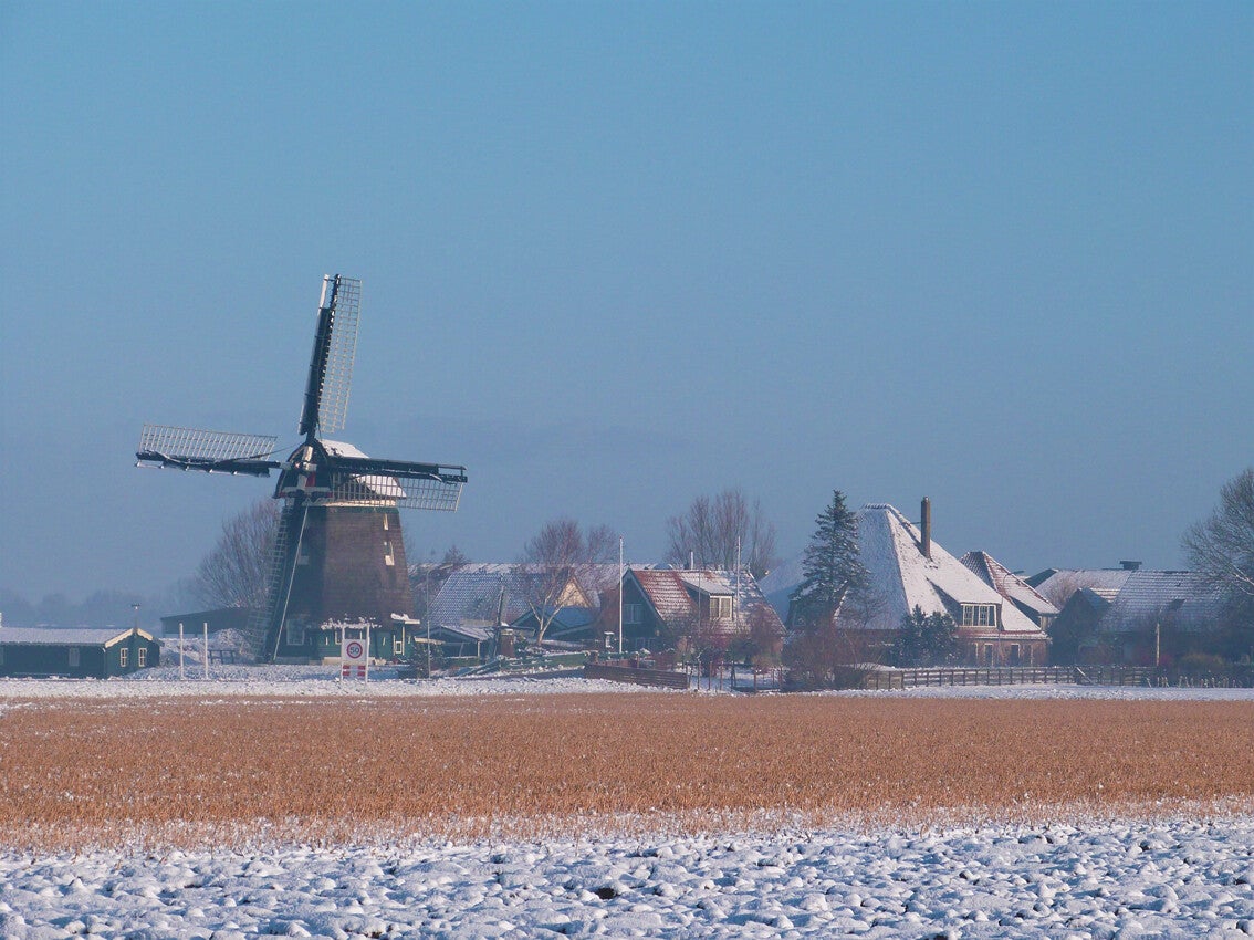 Video's / Foto's en video's | Groenveld
