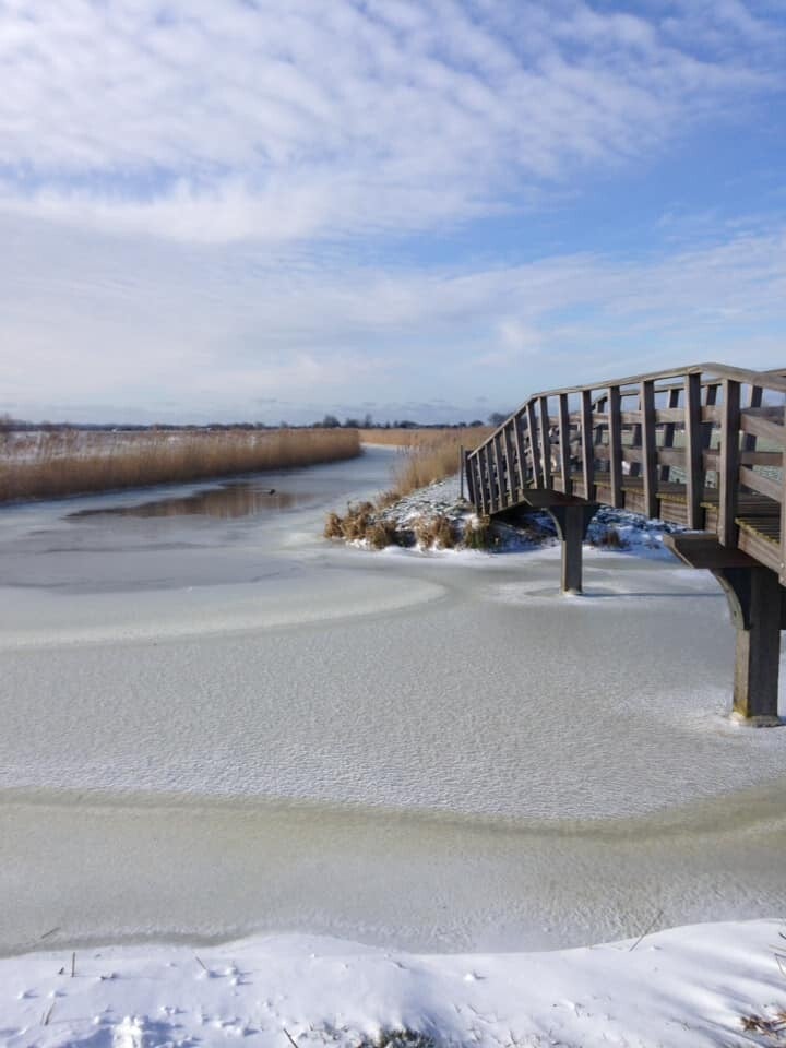 Groenveld, Winter 2021 / Mooie foto's / Foto's en video's | Groenveld