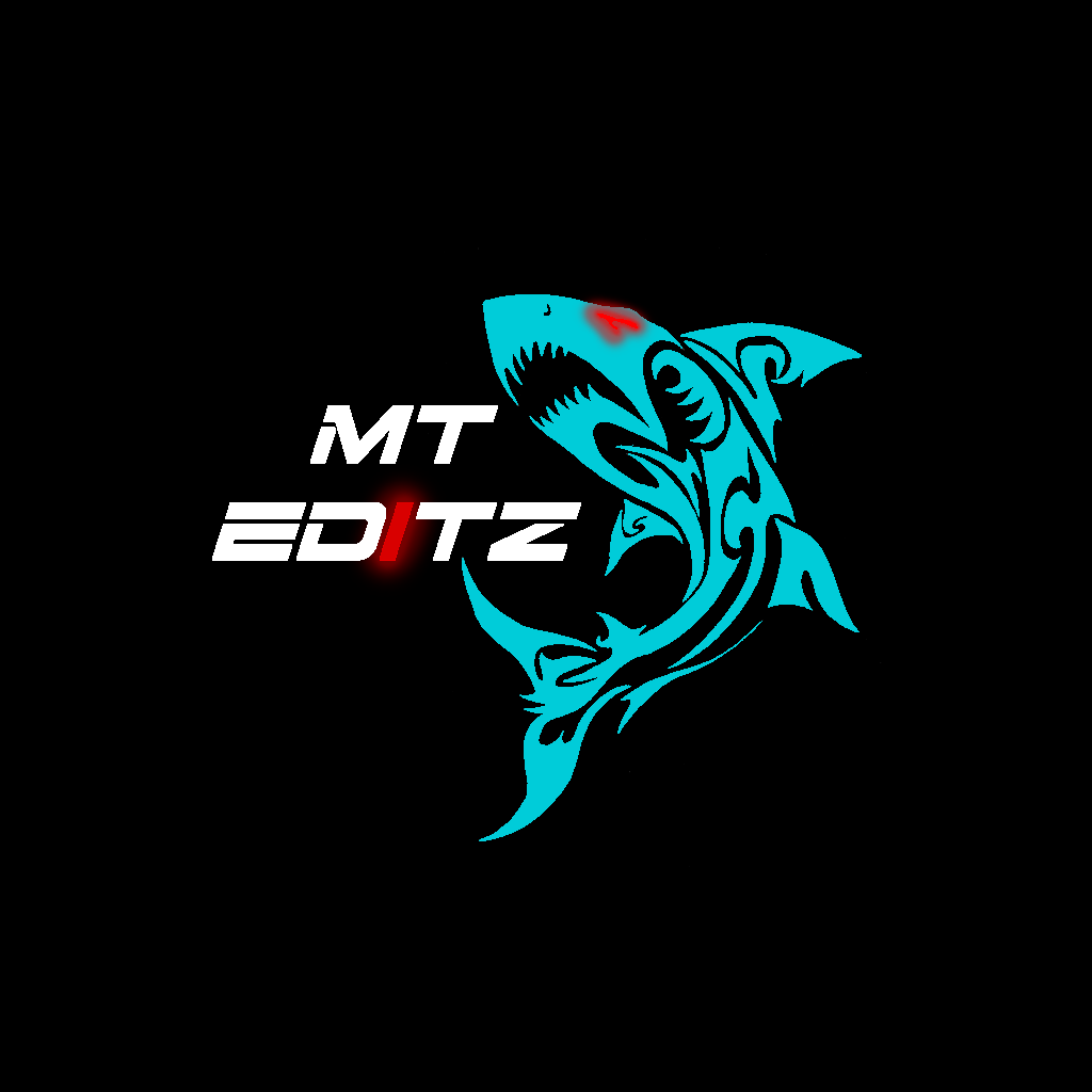 MT Editz
