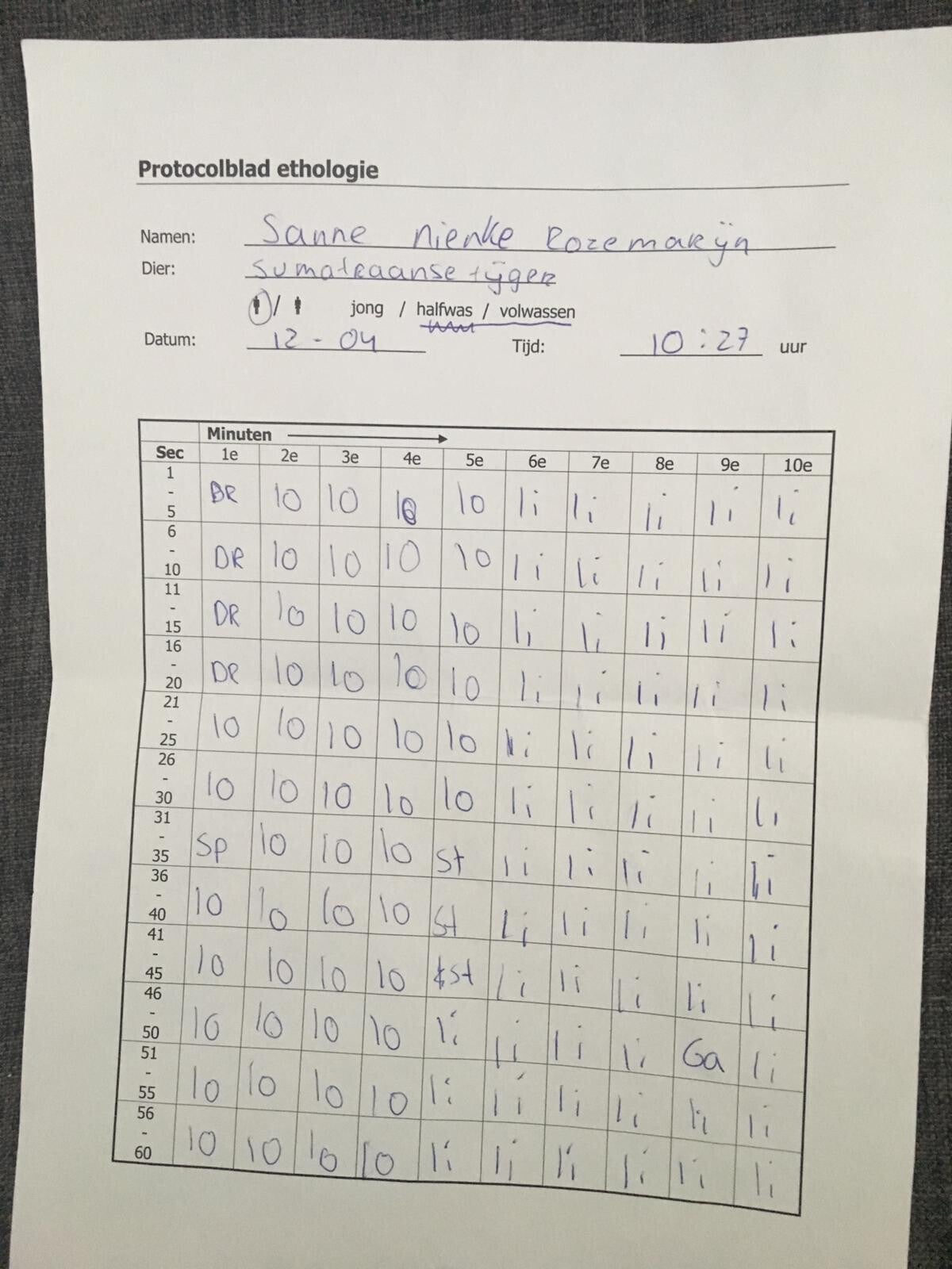 Ethogram, Protocol | sumatraansetijger.jouwweb.nl