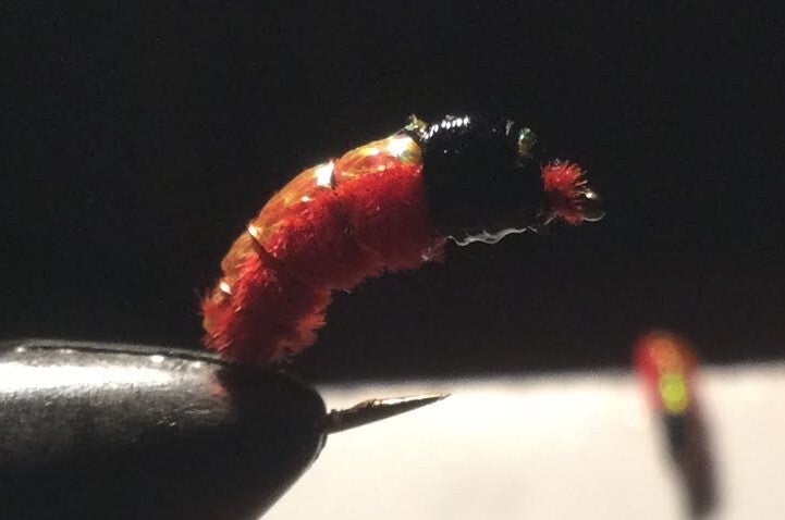 Ark-nimf - Teake van der Zee / Films vliegbinden / Vliegbinden ...