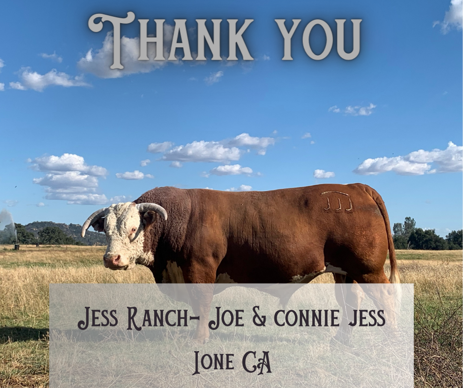 Way Out West Productions