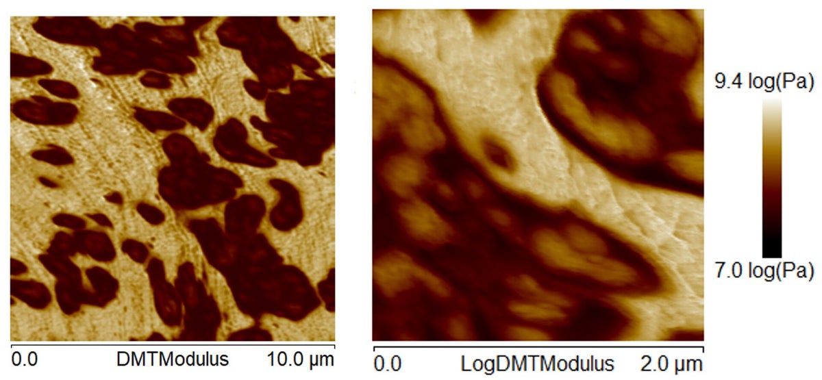Scanning Probe microscopy | nanoscolo