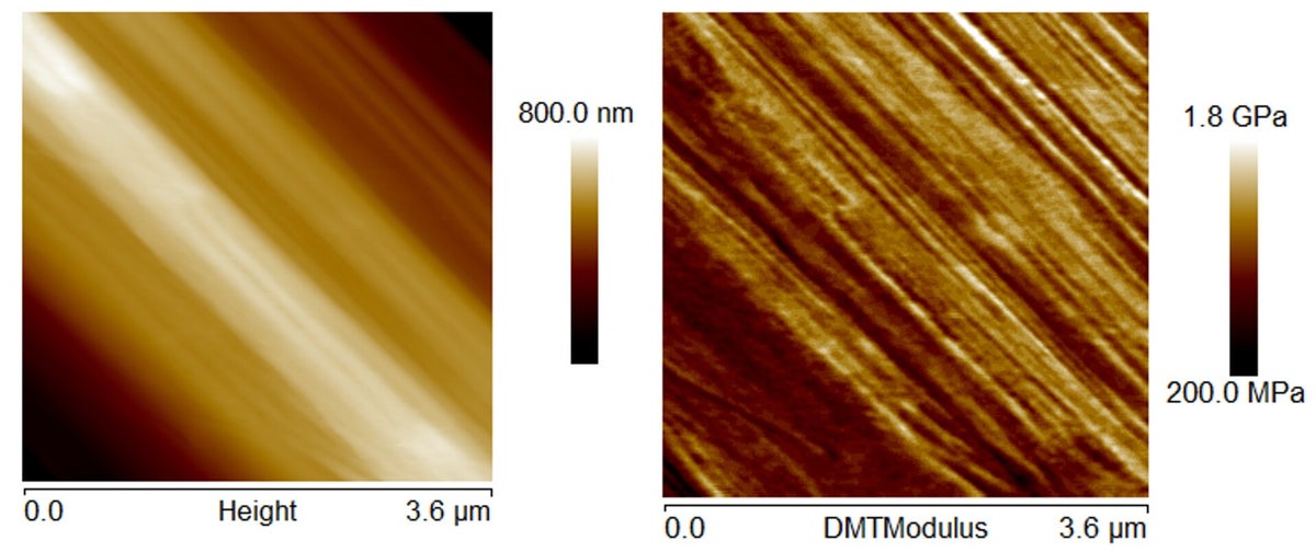 Scanning Probe microscopy | nanoscolo