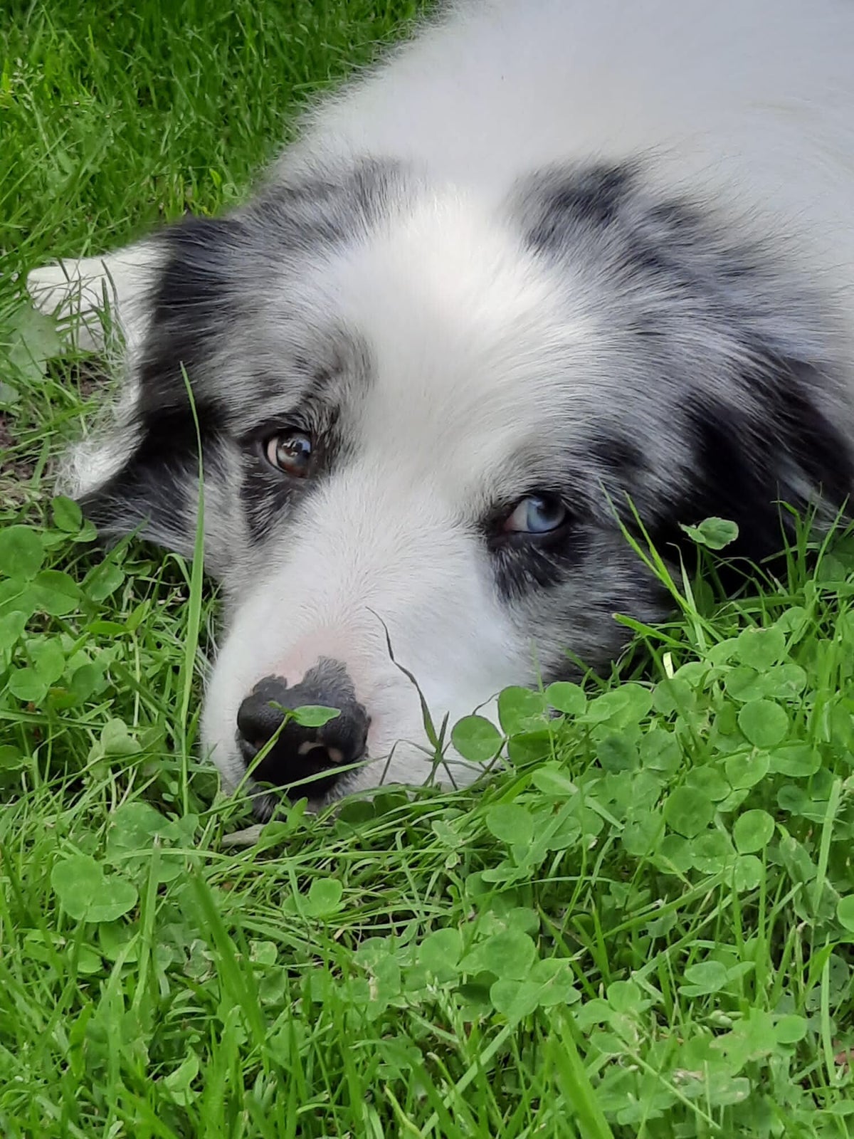 Wie ben ik | Authentic Bodywork