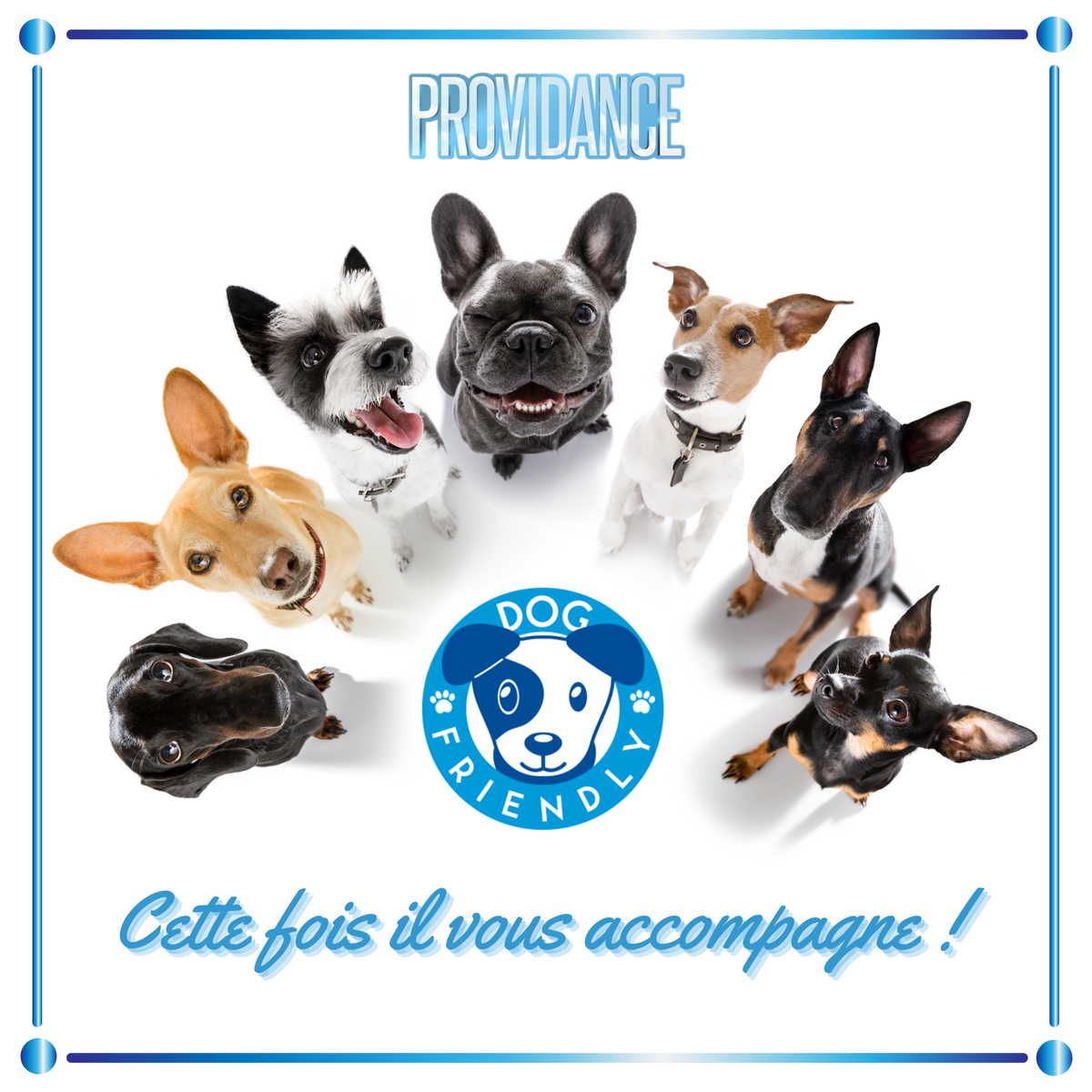 Les Services | providance