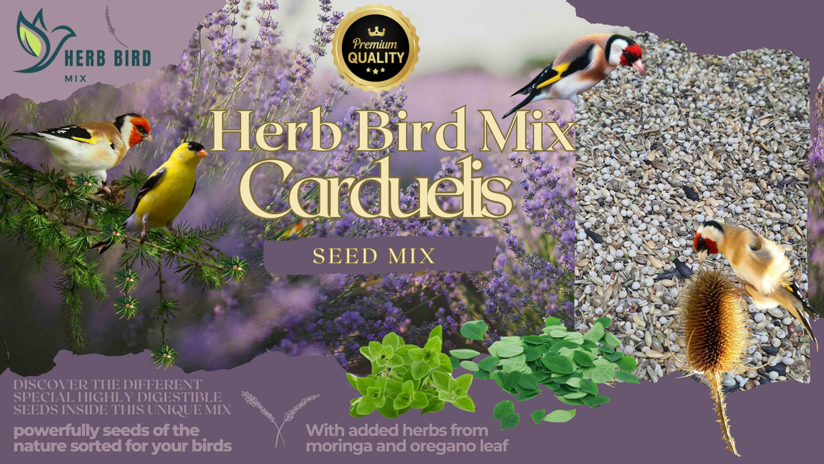 herb bird mix Carduelis seed mix | Nature herb bird mix
