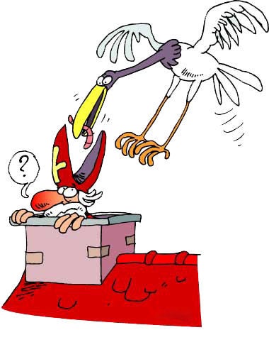 Kerst-Sinterklaas-Humor | Greetjescreaties