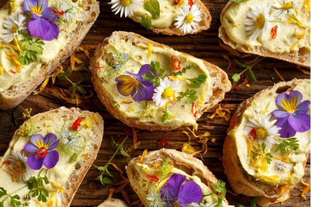 The Ultimate Guide to Throwing a Magical Summer Solstice Party / Party ...