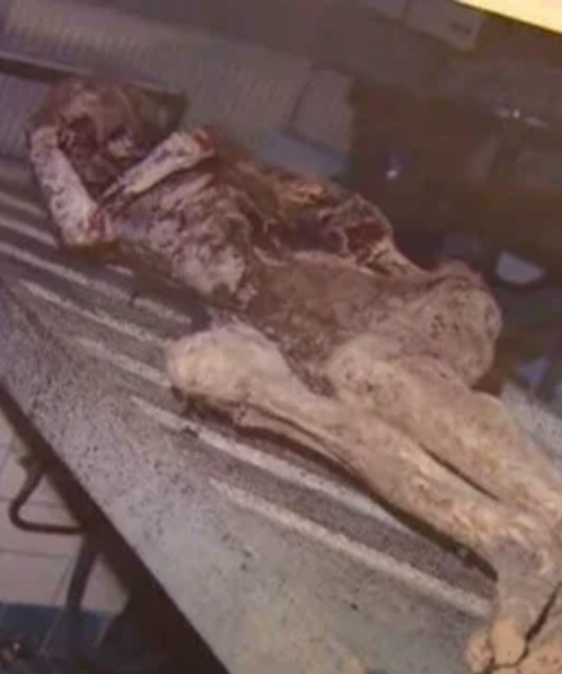 Ongeidentificeerde doden | Stichting Coldcasezaken