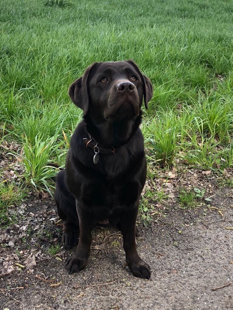 DSDR therapie behandeling | DSDR therapie