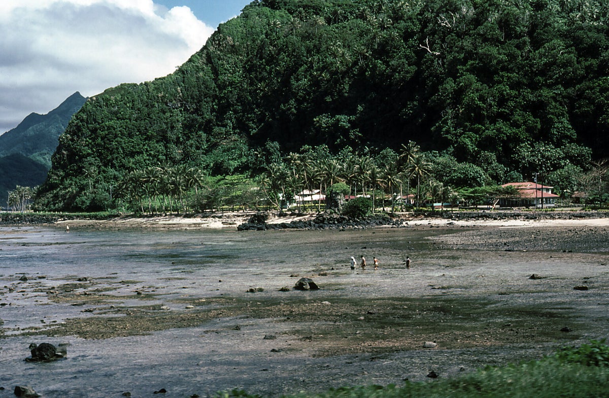 LAULI'I / ITUMĀLŌ SUA / TUTUILA - FALELIMA I SASA'E | Family Genealogy