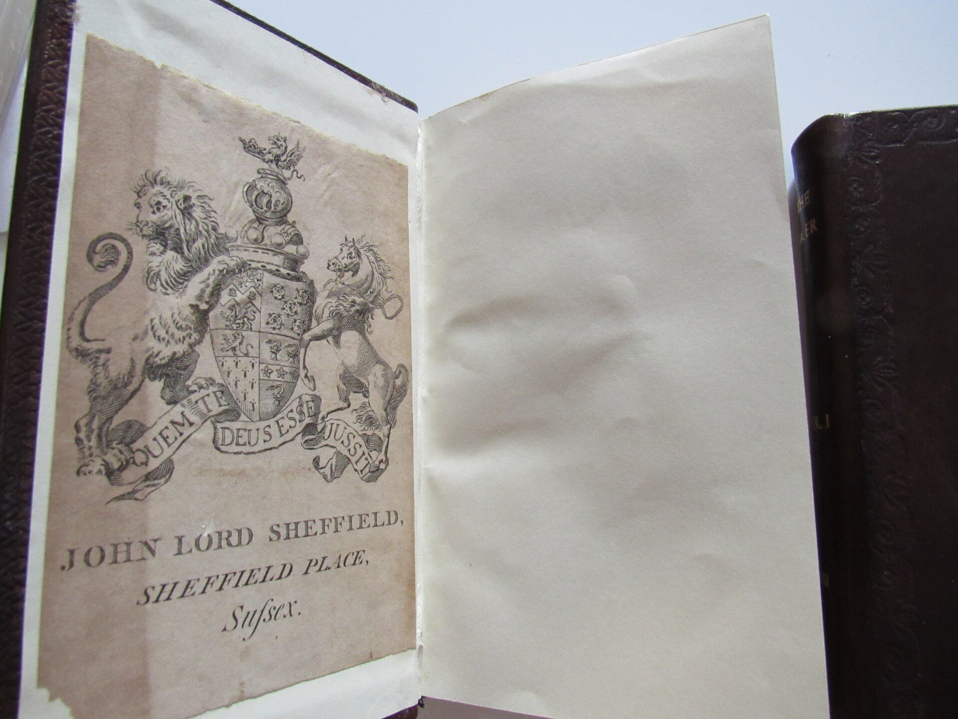 The Idler by Dr. Samuel Johnson | Castle Books and Tea