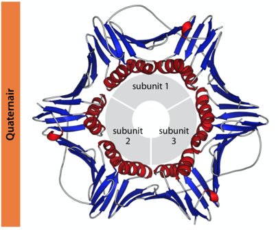 De Genetische Code | Mijn Verdiepingen