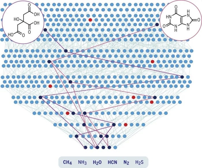 A new chemical tree of the origin of life | Mijn Verdiepingen