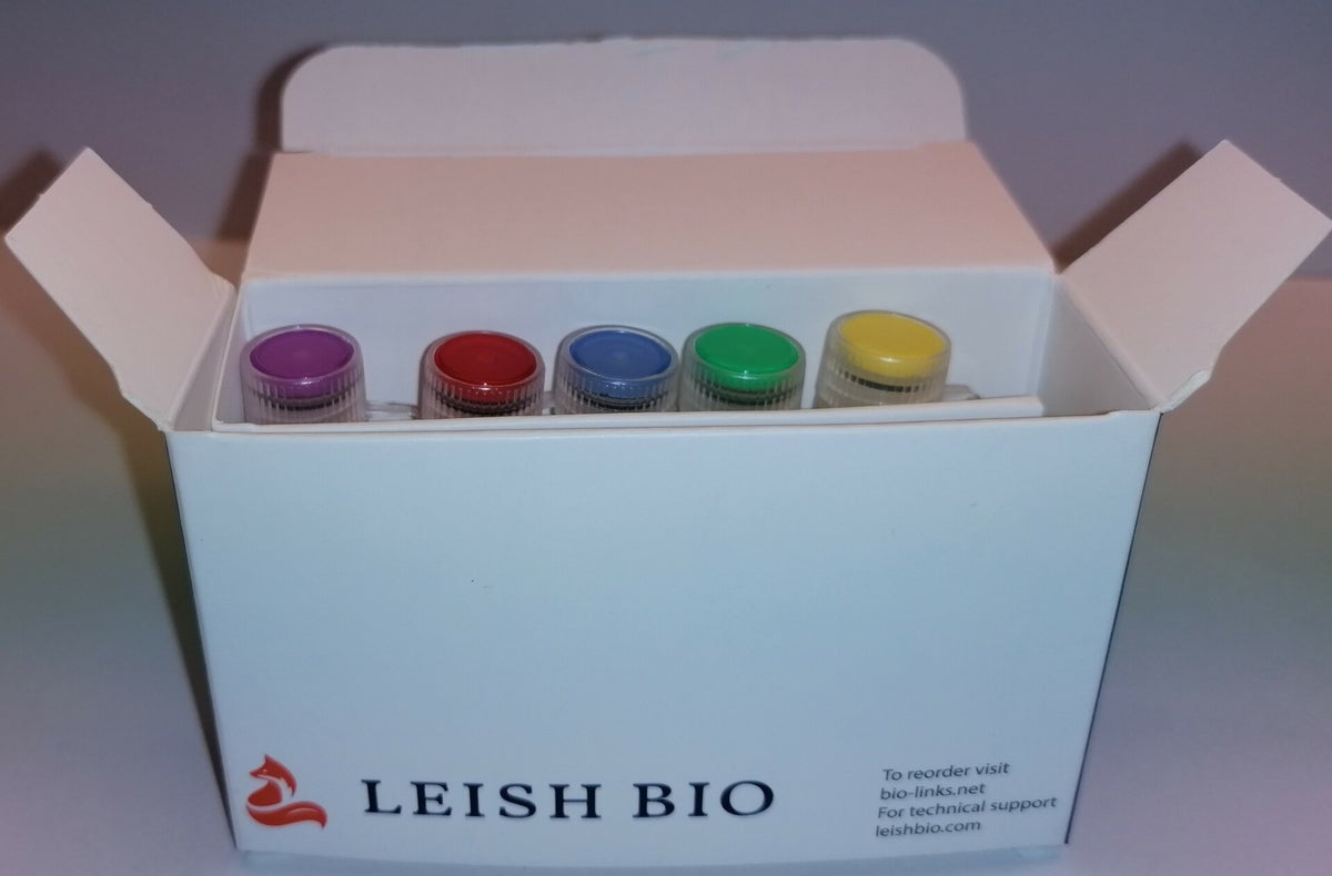VENI sgRNA Synthesis Kit / RNA Synthesis Kits & Reagents / Products ...