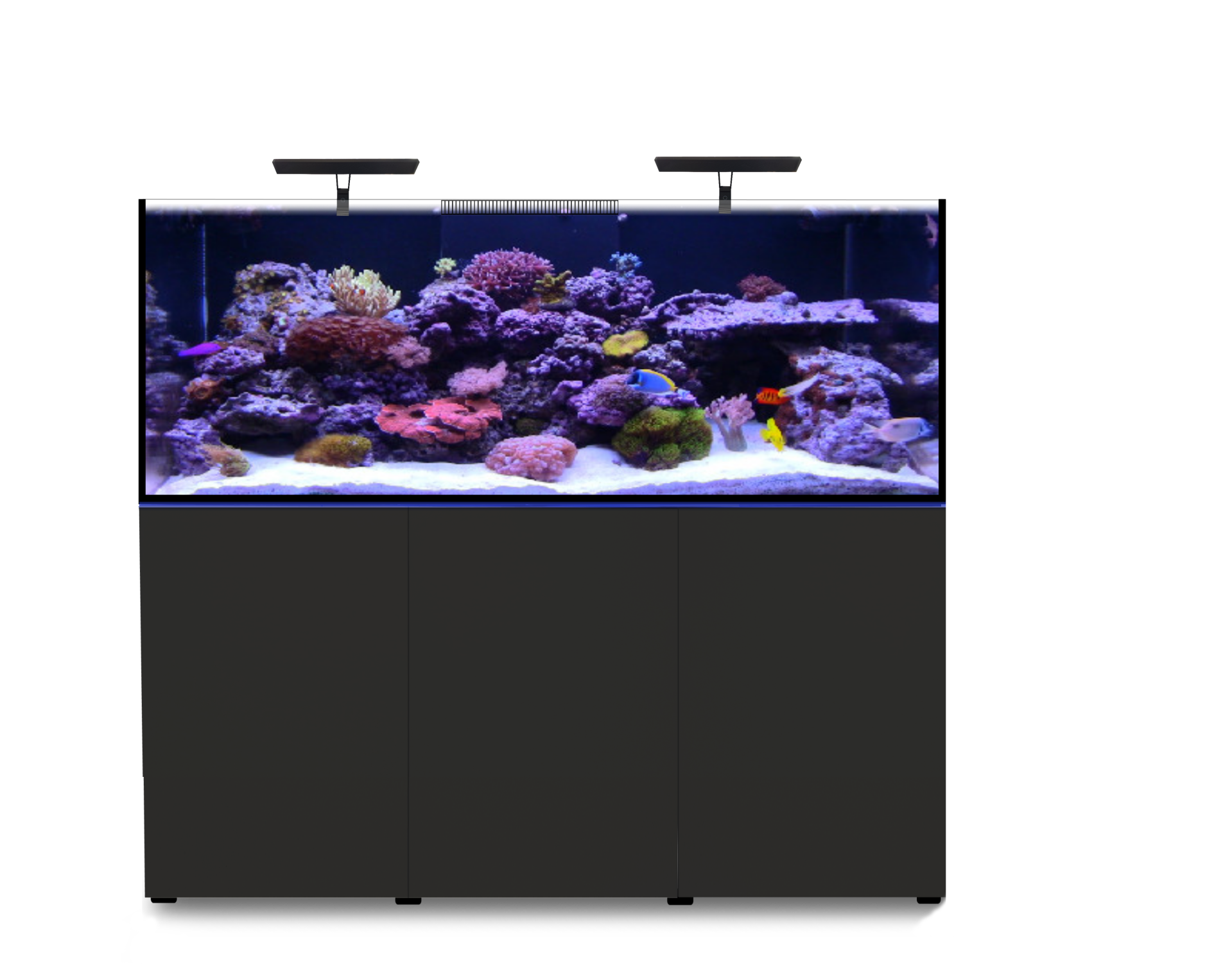 Aqualife Amphiculla 650 Ultimate Reef Model 2025 | K-reef Aquarium Hobby
