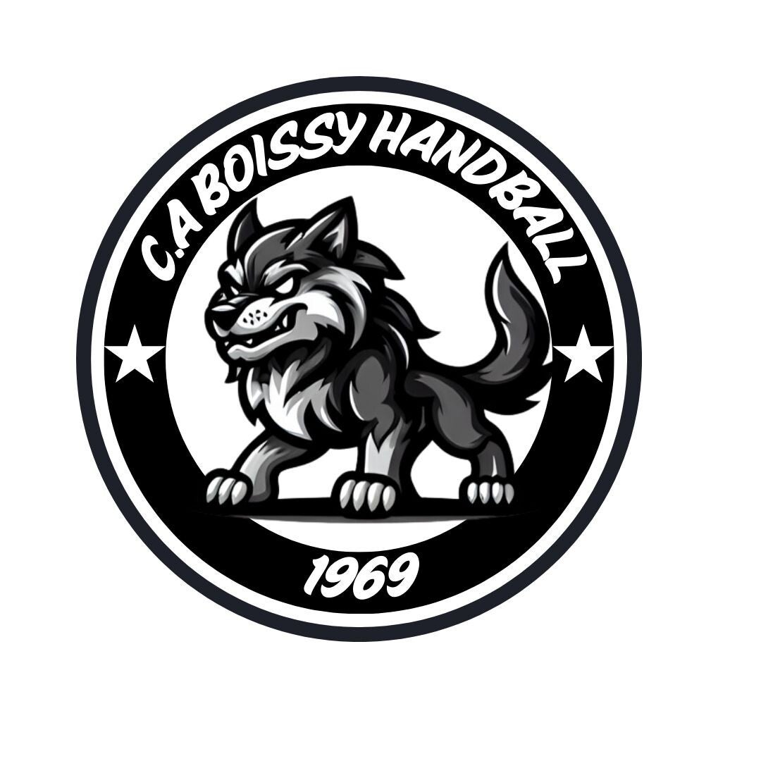 C.A. BOISSY HANDBALL