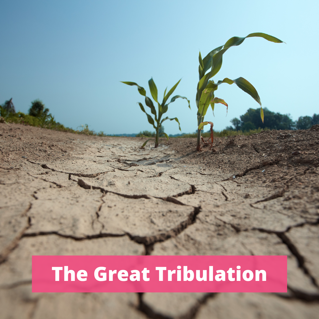 End times: what do you need to know about the Biblical future?