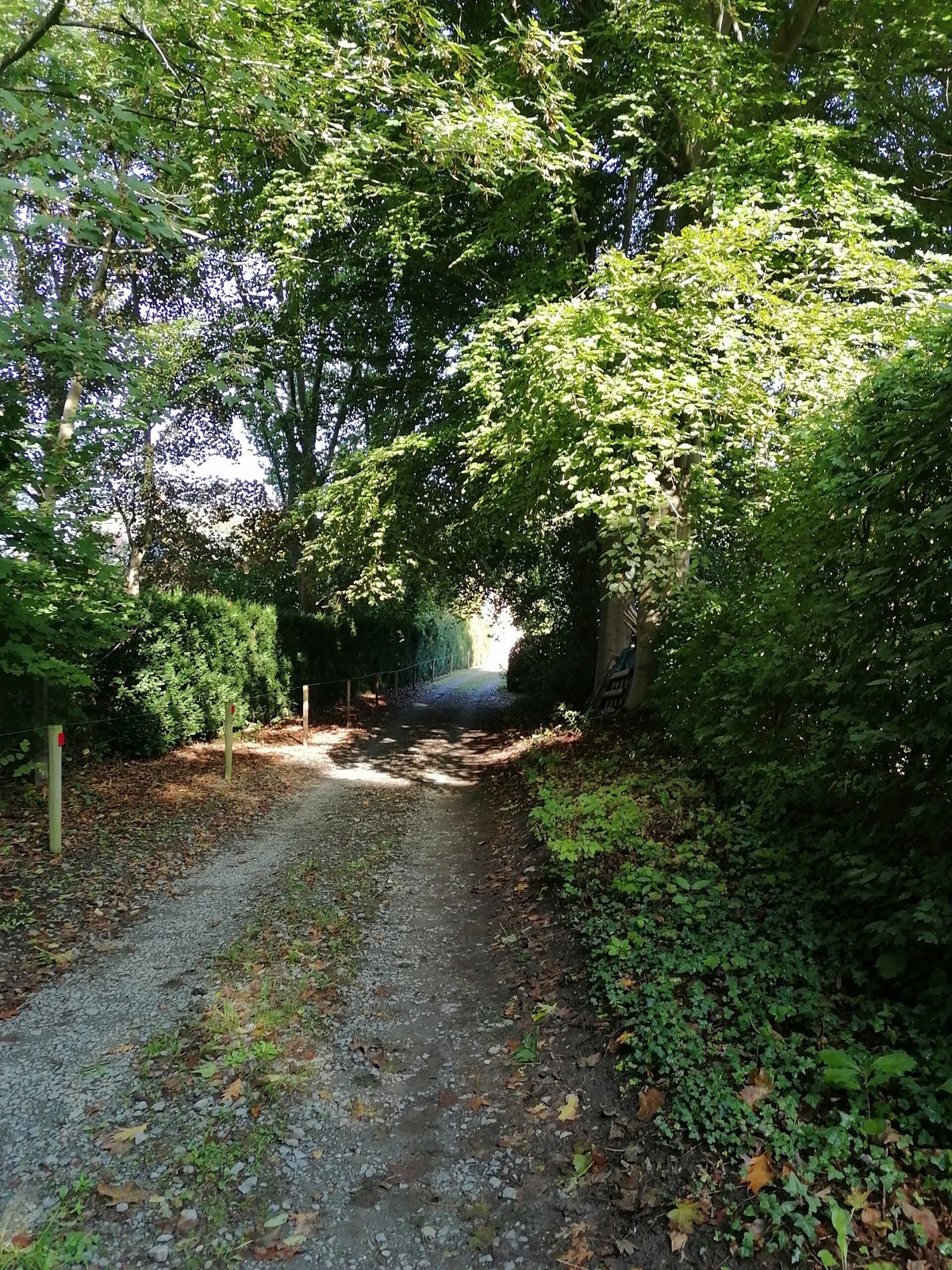 De Maagd van Meldert - 8,7 km | Wandelfan