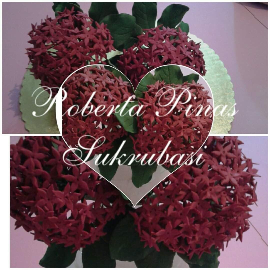 Gumpaste fayalobi (ixora) | Cake Hug Essences