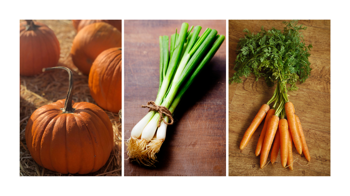 Elf makkelijke groentes om zelf te kweken / Blog | moestuinierder.nl