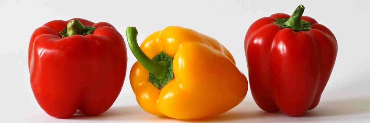 Paprika kweken in de moestuin: de beste tips / Groentes en kruiden in ...