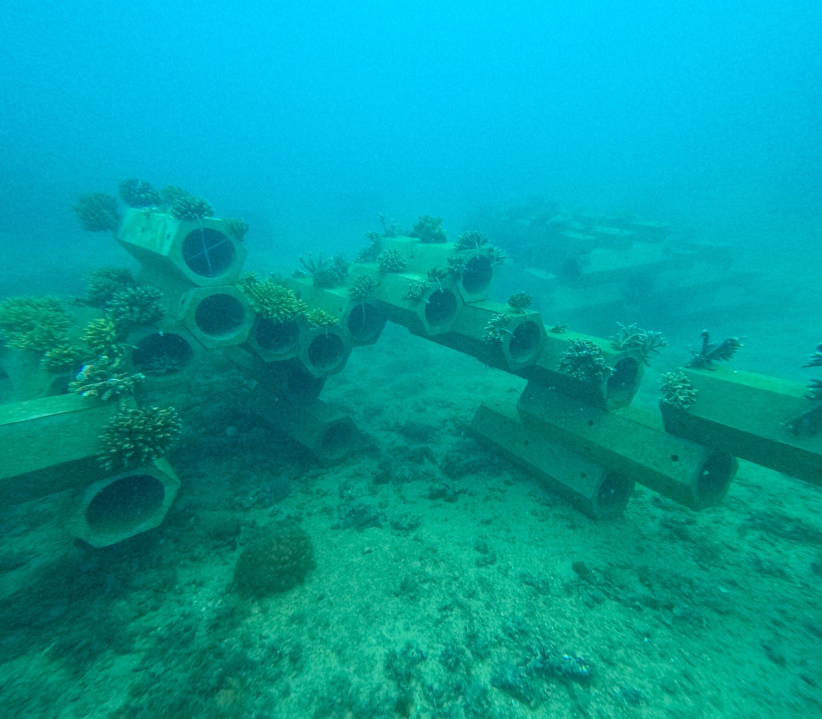 Photos | ReefSystems