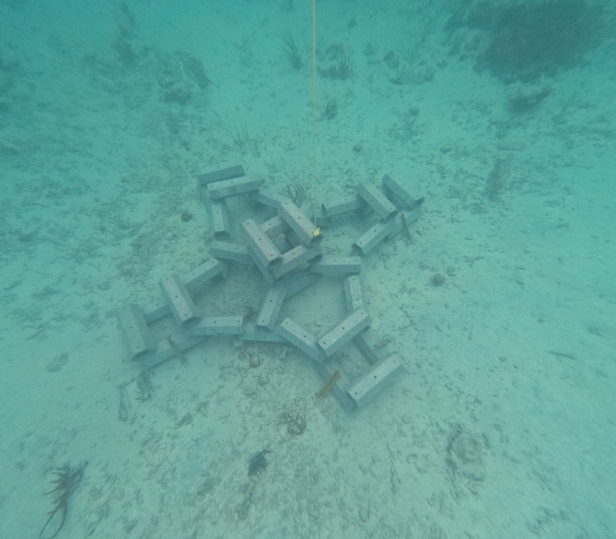 Photos | ReefSystems