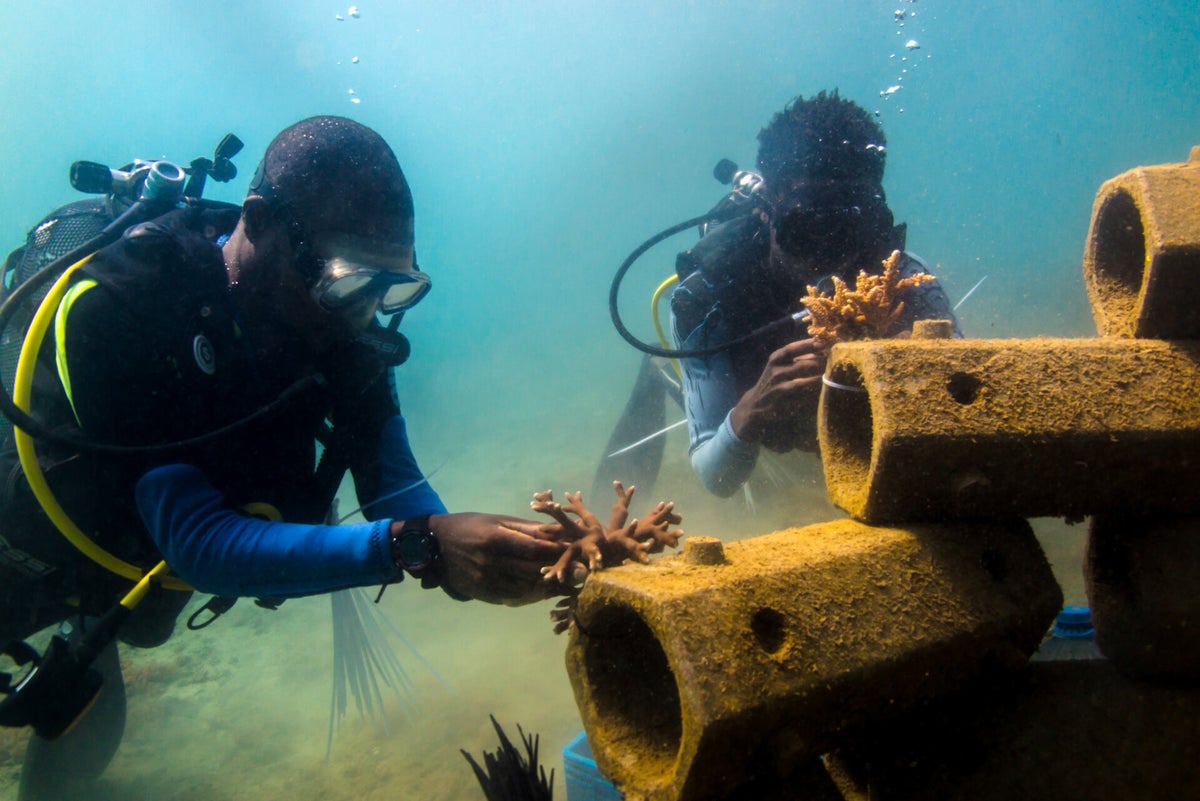 Photos | ReefSystems