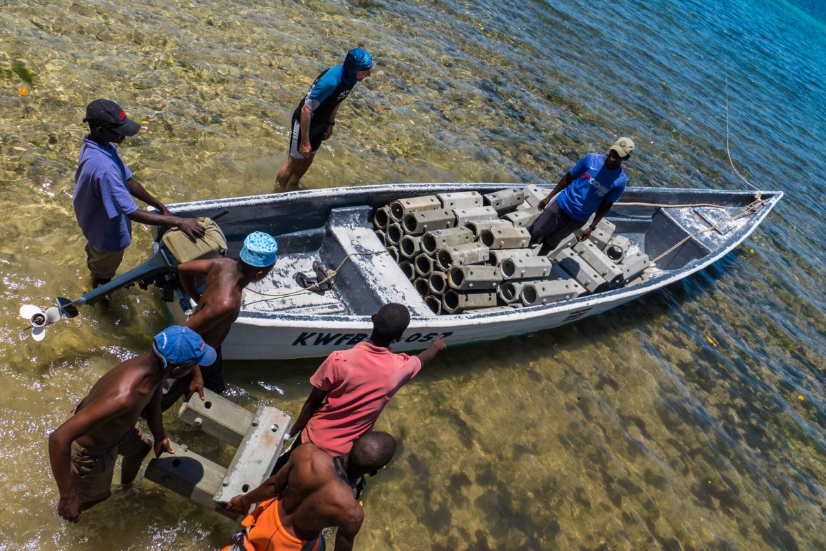 Photos | ReefSystems