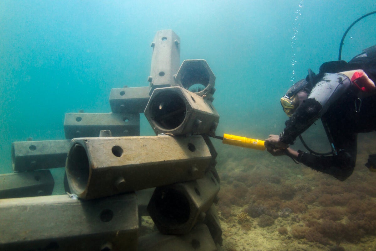 Photos | ReefSystems