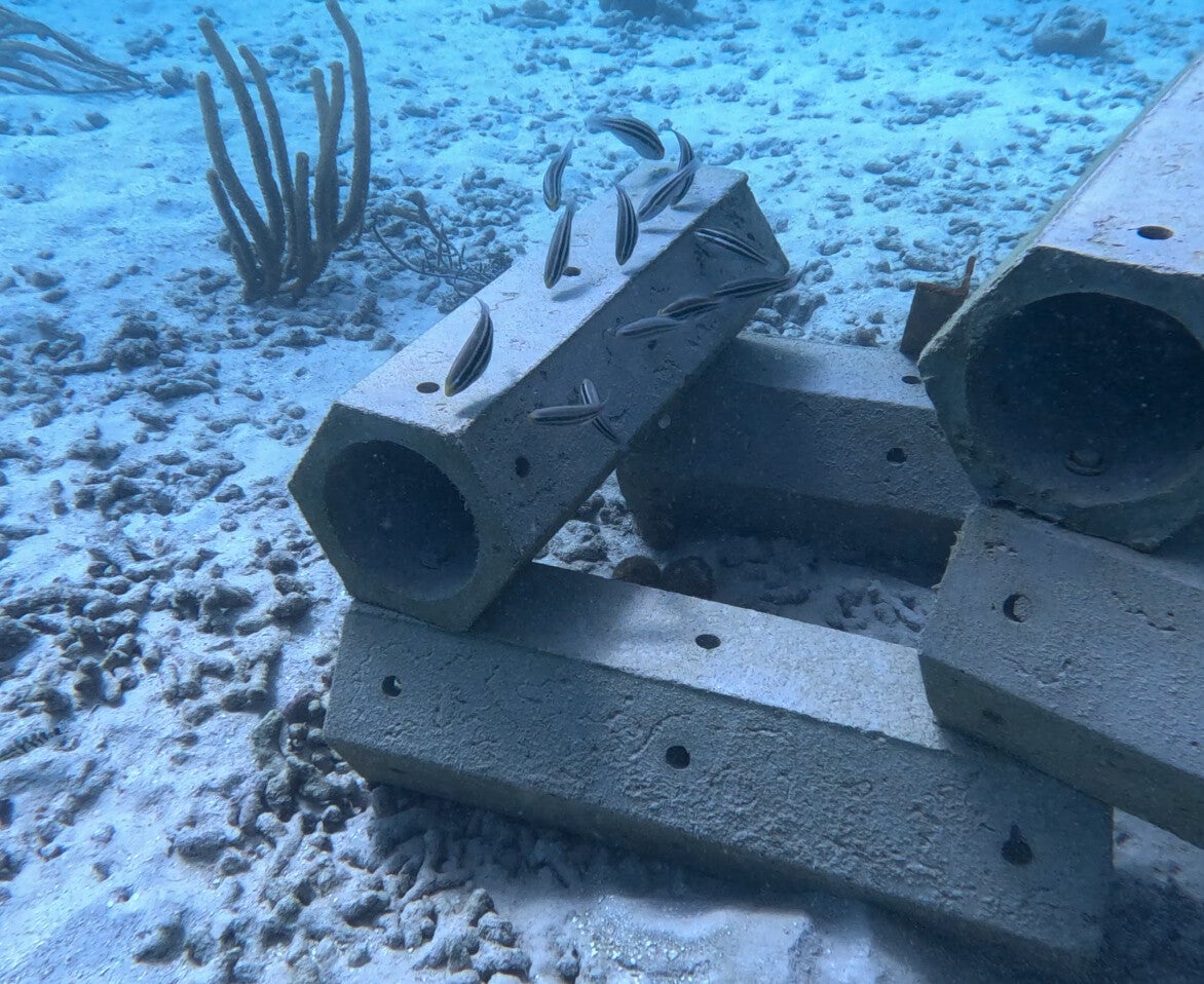 Photos | ReefSystems