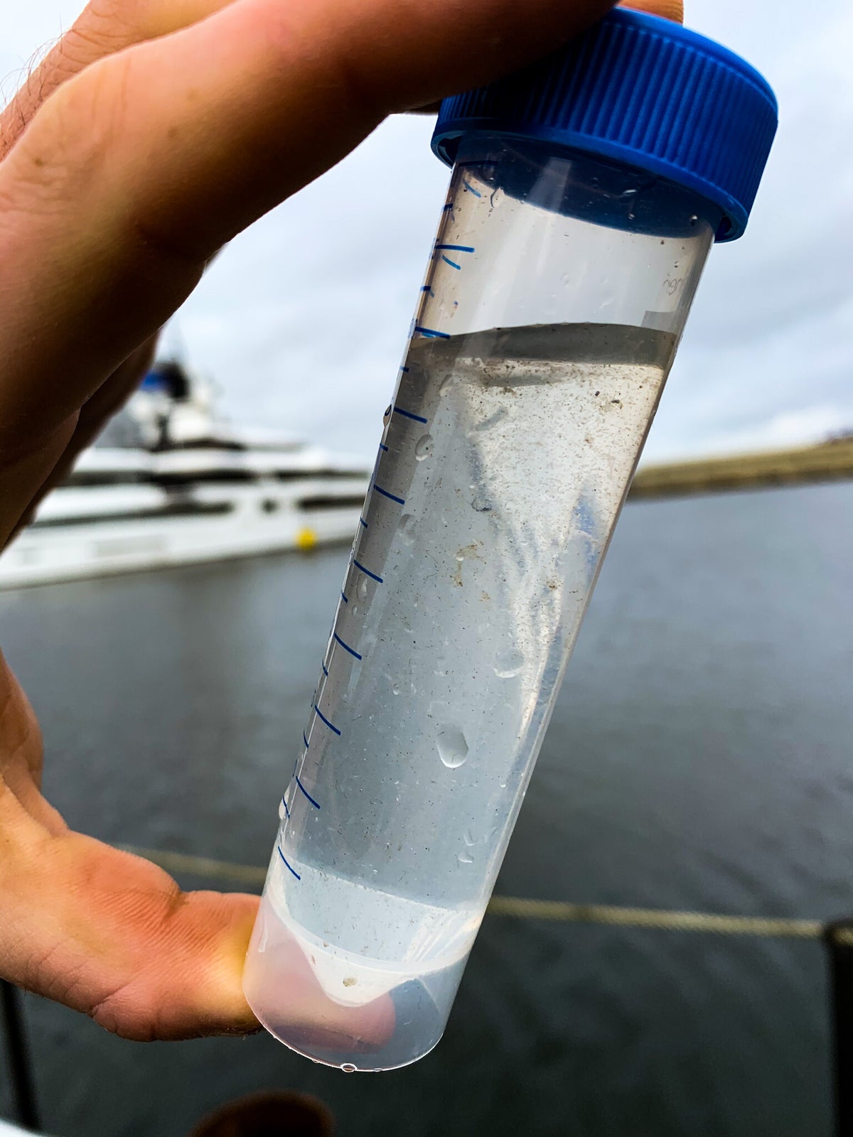 Photos | ReefSystems