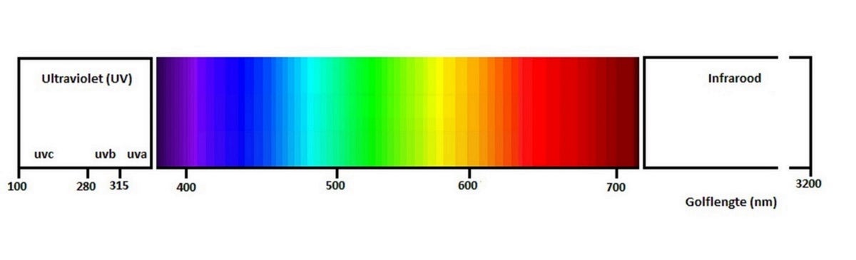 Light / General care | Mt-Turtles
